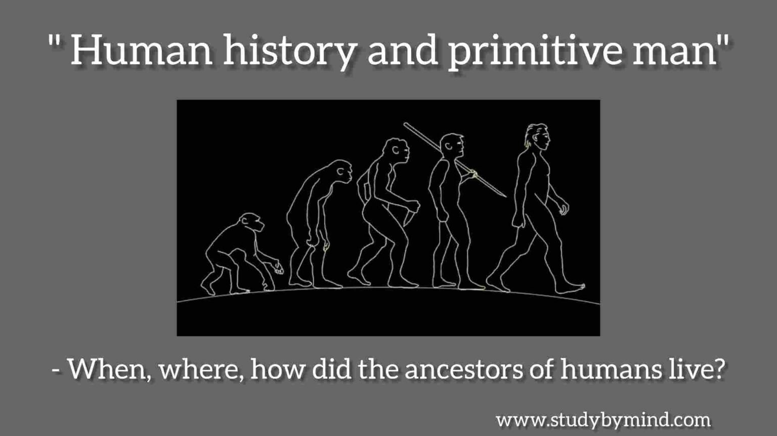 History of human