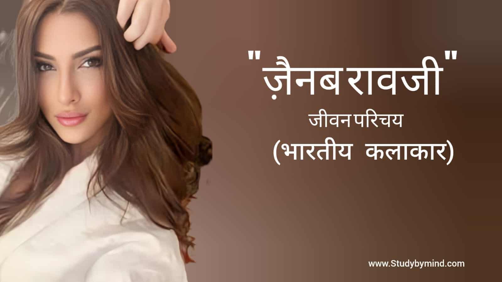 ज़ैनब रावजी जीवन परिचय Zainab Ravdjee biography in hindi (Artist ...